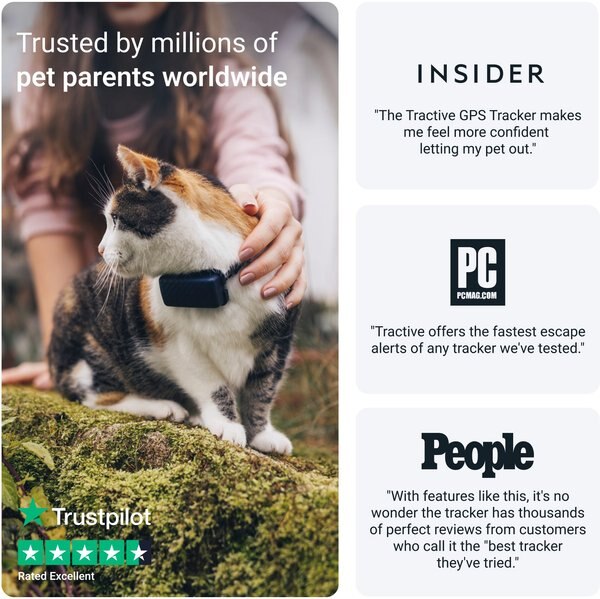 TRACTIVE Smart Cat GPS Tracker with Wellness Monitoring & Breakaway ...