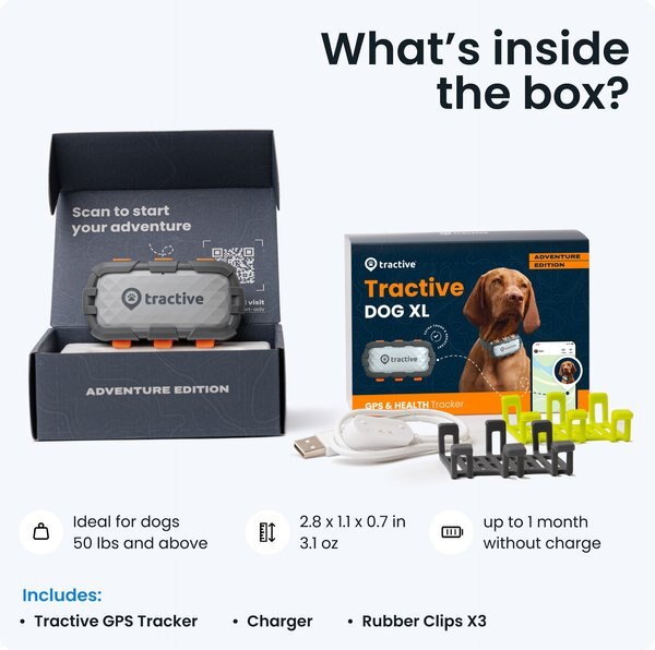 TRACTIVE Dog GPS Tracker & Activity Monitor, Gray - Chewy.com