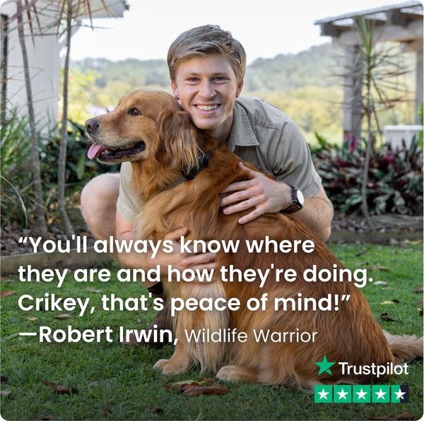 TRACTIVE Dog GPS Tracker with Activity Monitoring, Brown - Chewy.com