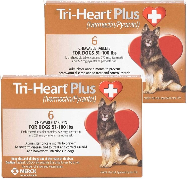 Heartworm Medicine for Dogs: Dog Heartworm Prevention (Ships Free ...