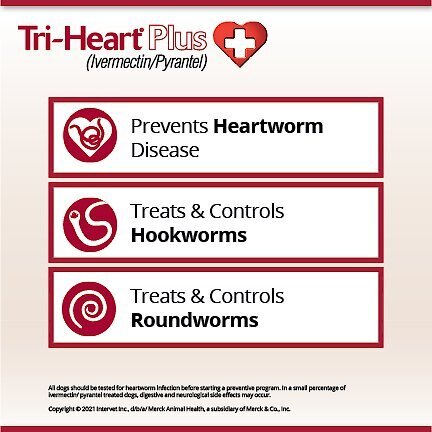 TRI-HEART PLUS Chewable Tablet for Dogs, 51-100 lbs, (Brown Box) - Easy ...