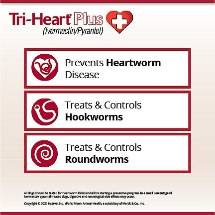 TRI-HEART PLUS Chewable Tablet for Dogs, 51-100 lbs, (Brown Box) - Easy ...