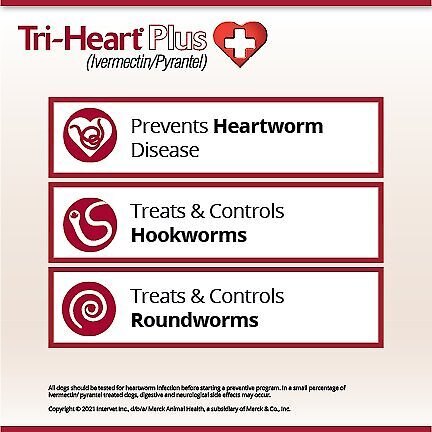 TRI-HEART PLUS Chewable Tablet for Dogs, up to 25 lbs, (Blue Box ...