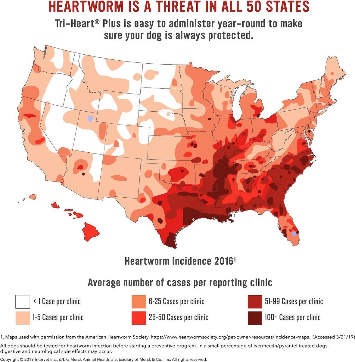 TRI-HEART PLUS Chewable Tablet for Dogs, up to 25 lbs, (Blue Box ...