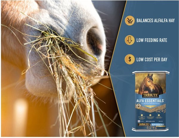 TRIBUTE EQUINE NUTRITION Alfa Essentials Pellets Horse Feed, 50-lb bag ...