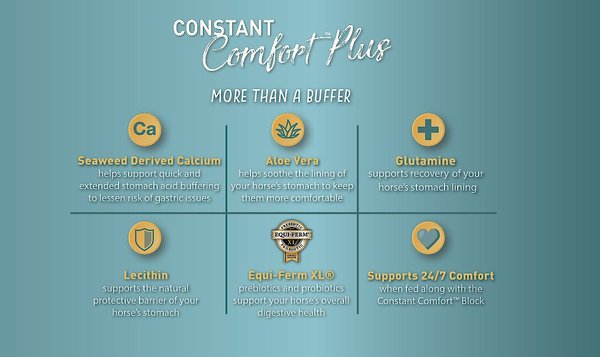 TRIBUTE EQUINE NUTRITION Constant Comfort Plus Gut Health Horse ...