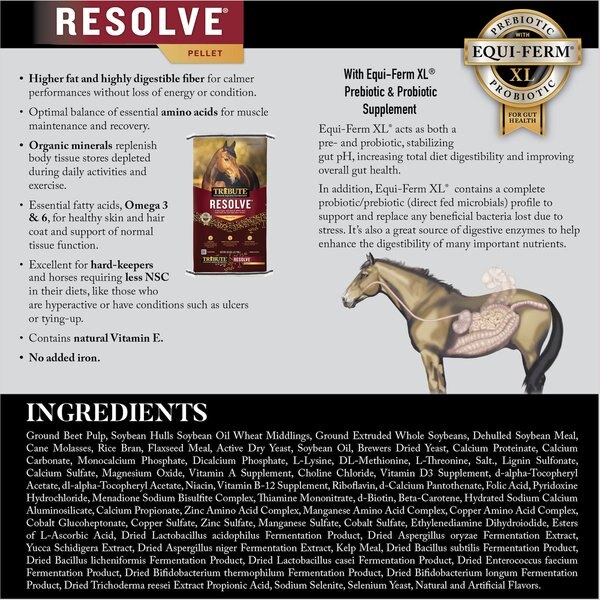 TRIBUTE EQUINE NUTRITION Resolve High Fat Horse Feed, 50-lb bag - Chewy.com