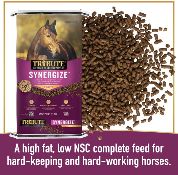 TRIBUTE EQUINE NUTRITION Synergize High Fat Low Sugar & Starch Horse Feed, 50-lb bag - Chewy.com