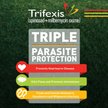 TRIFEXIS Chewable Tablet for Dogs, 10.1-20 lbs, (Orange Box) - Easy ...