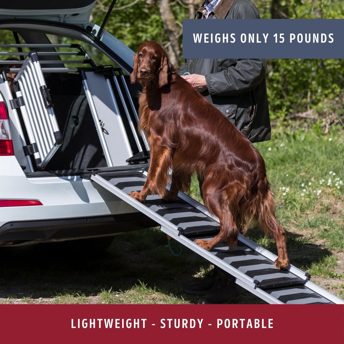 TRIXIE 69-in Heavy Duty Telescoping Dog Ramp, Silver/Black - Chewy.com