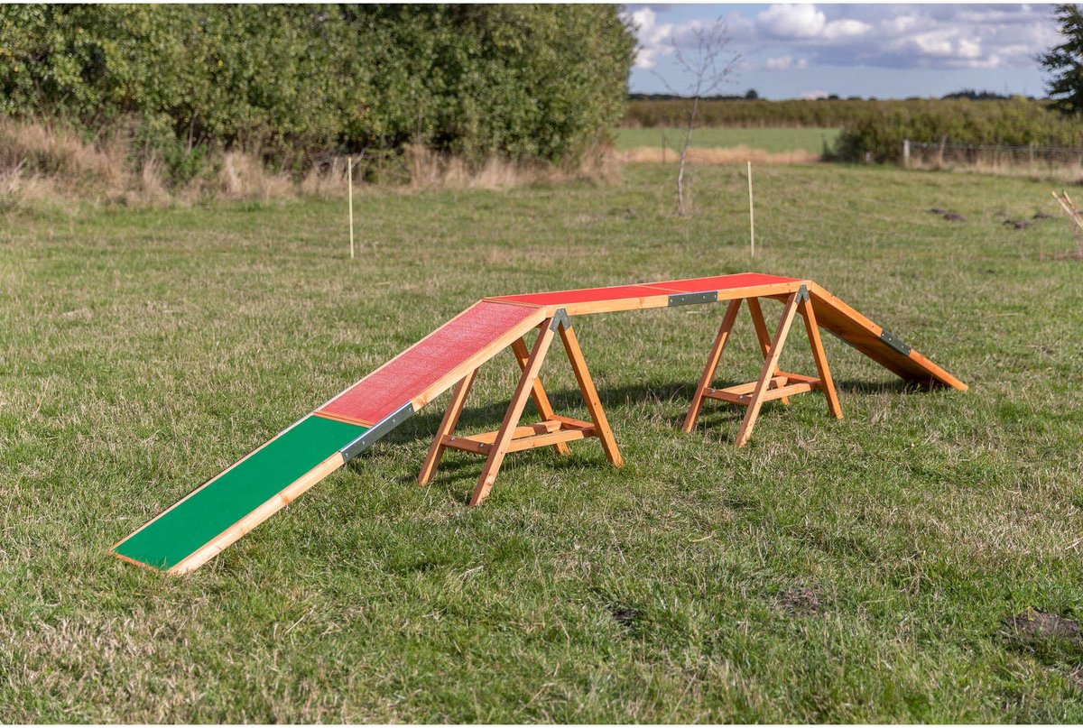 TRIXIE Agility Dog Training Dogwalk - Chewy.com