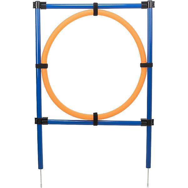 TRIXIE Agility Dog Training Ring - Chewy.com