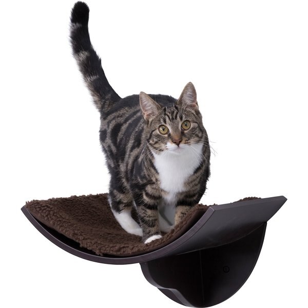 TRIXIE Bed Wall Mounted Cat Shelf, Espresso-Brown - Chewy.com