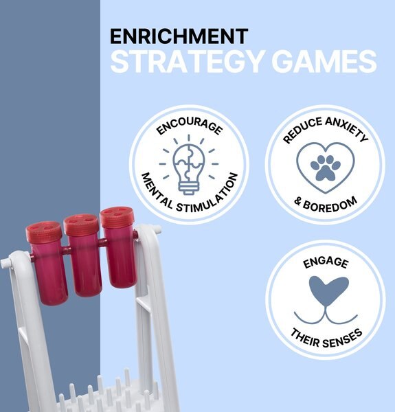 TRIXIE Mad Scientist Turn Around Activity Strategy Game Cat Toy - Chewy.com