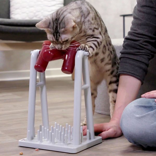 TRIXIE Mad Scientist Turn Around Activity Strategy Game Cat Toy - Chewy.com