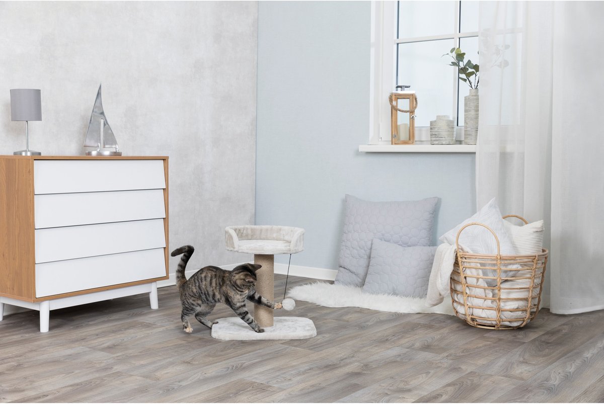 TRIXIE Mica Platform Cat Scratching Post - Chewy.com