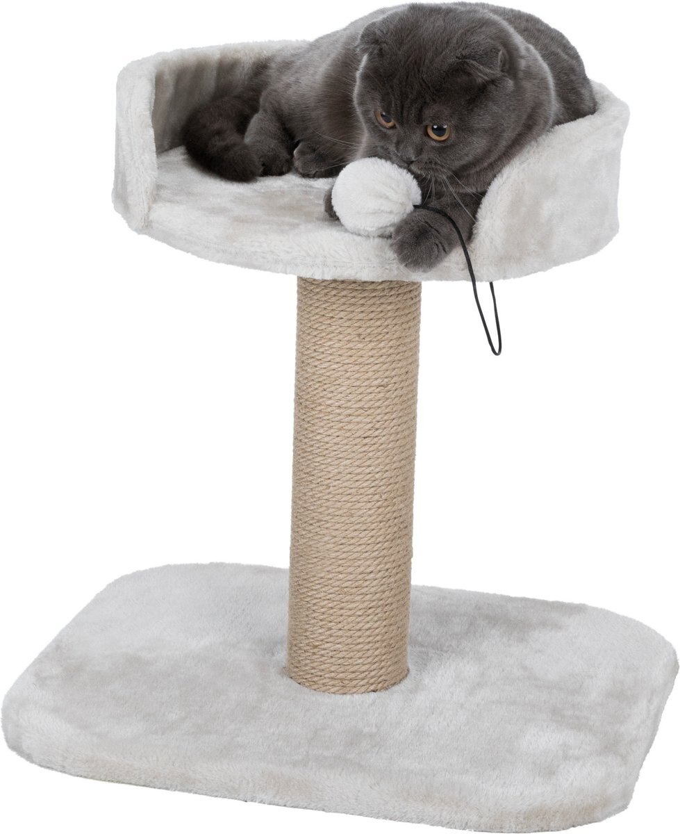 TRIXIE Mica Platform Cat Scratching Post - Chewy.com