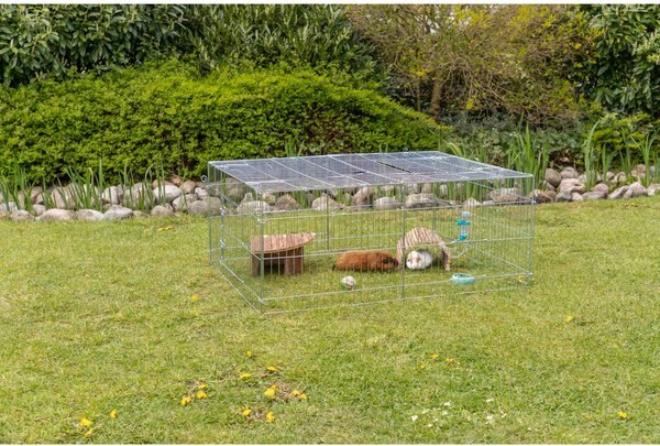 TRIXIE Natura Portable Outdoor Rabbit Cage - Chewy.com