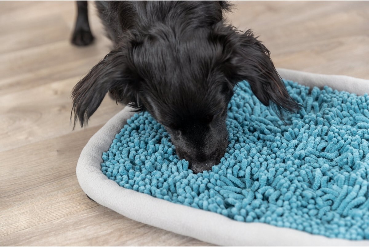 TRIXIE Snuffle & Seek Plate, Sniff Mat, Interactive Feeding Game, Slow ...