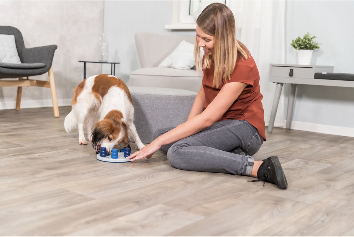 TRIXIE Solitaire Dog Activity Strategy Game Dog Toy - Chewy.com