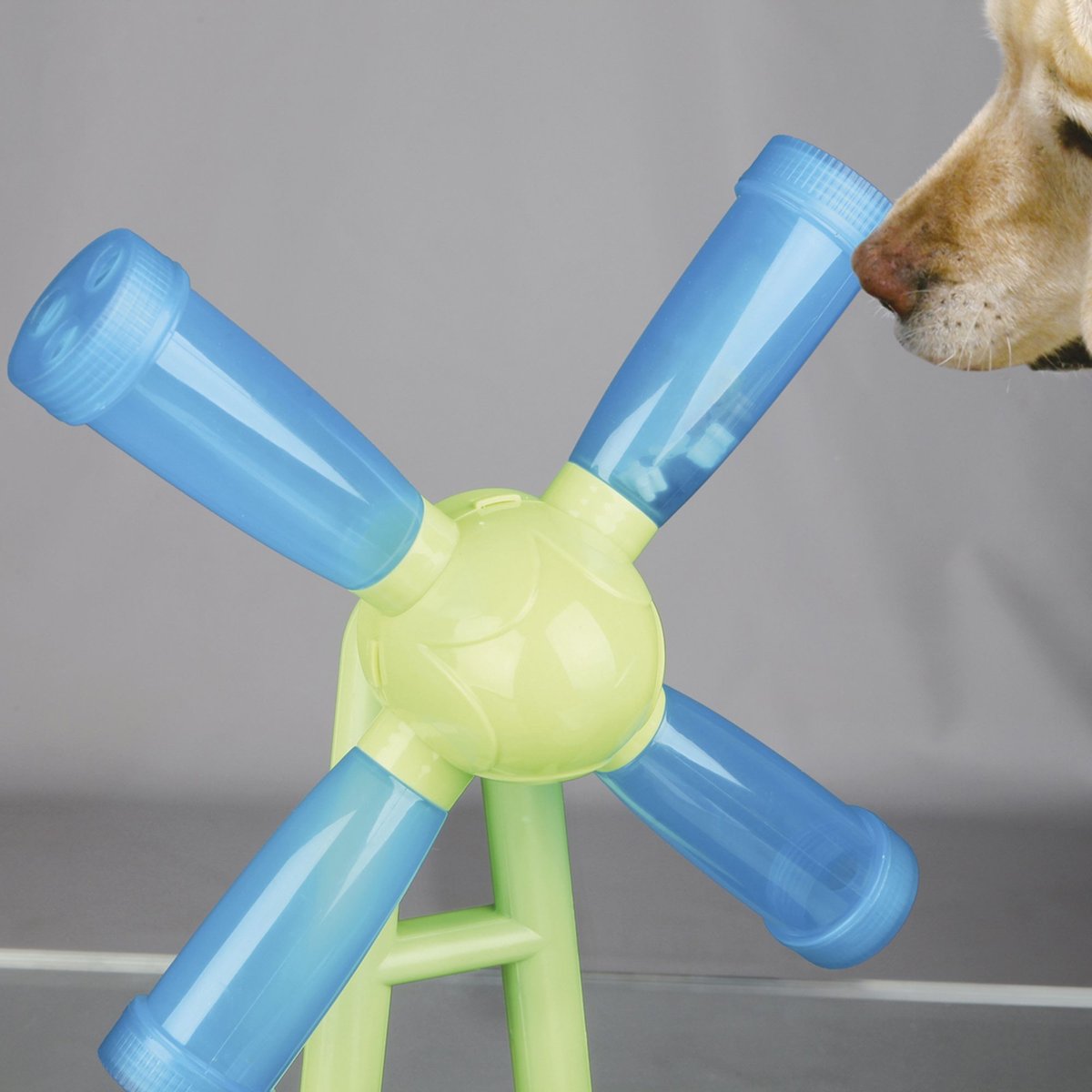 TRIXIE Windmill Activity Strategy Game Dog Toy - Chewy.com