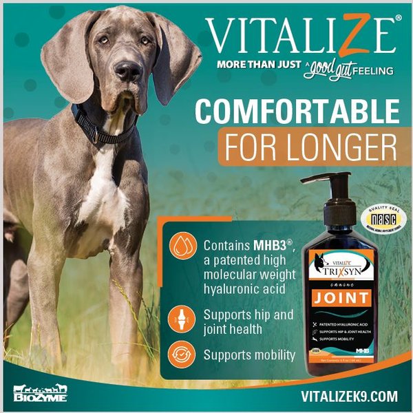 VITALIZE Trixsyn Canine Hyaluronan Dog Joint Support Supplement, 6-fl ...
