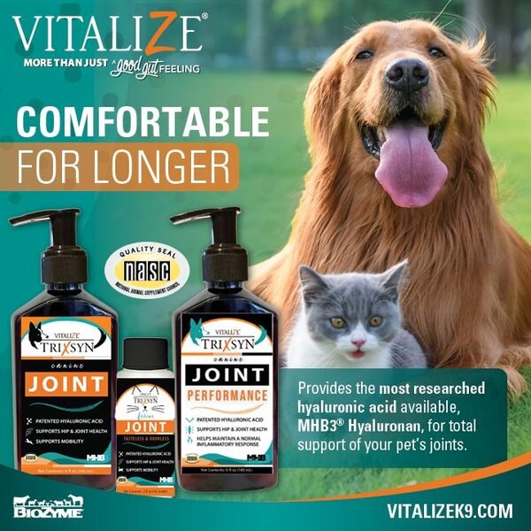 VITALIZE Trixsyn Canine Hyaluronan Dog Joint Support Supplement, 6-fl ...
