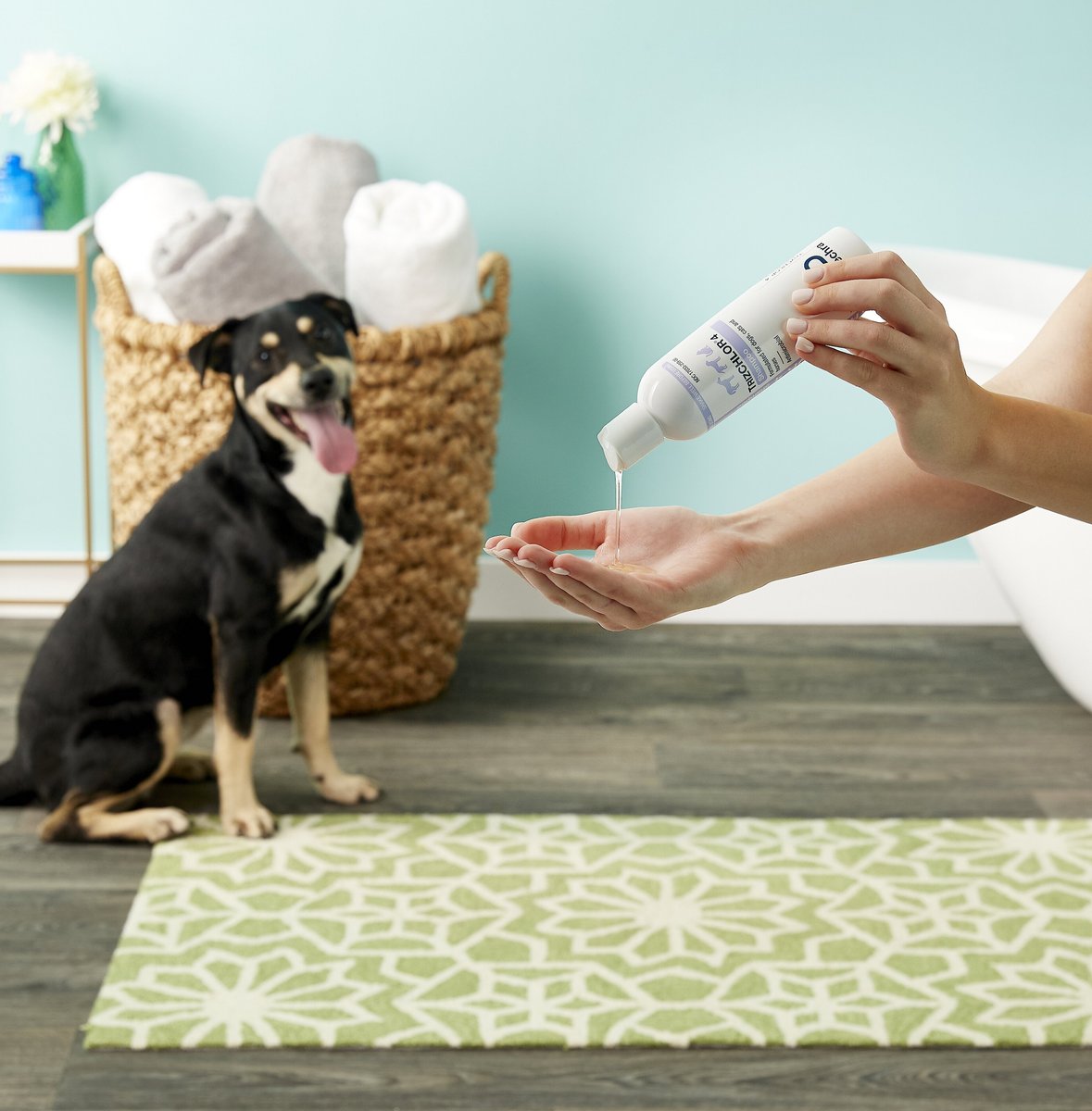 TRIZCHLOR 4 Shampoo for Dogs, Cats & Horses, 8-fl oz bottle - Chewy.com