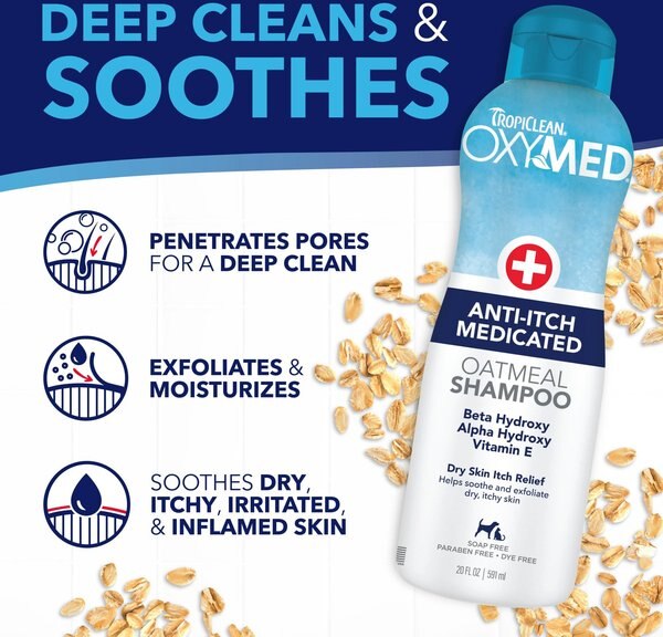 TROPICLEAN OxyMed Medicated Anti-Itch Dog Shampoo, 20-fl oz bottle ...