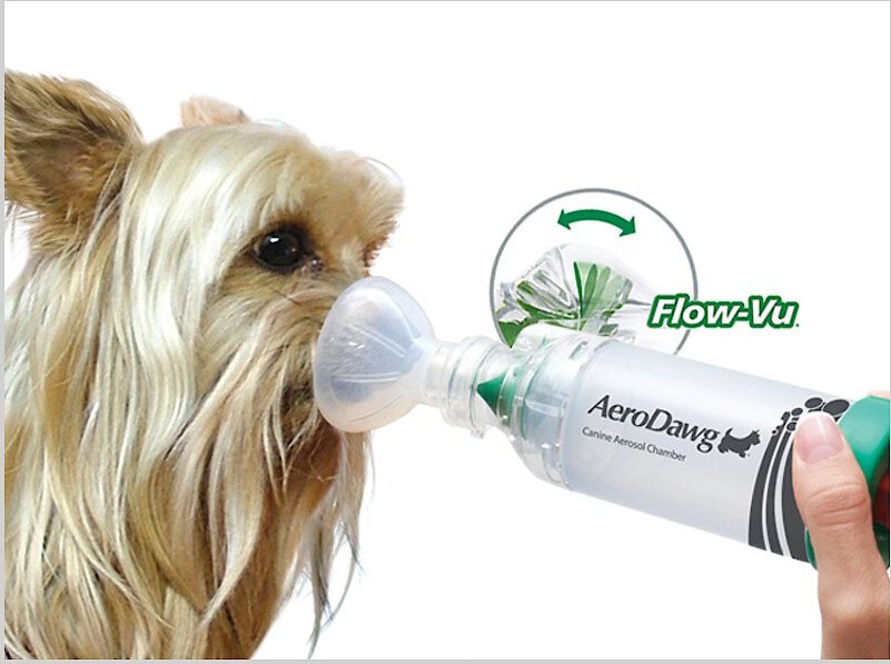 TRUDELL MEDICAL INTERNATIONAL AeroDawg Dog Asthma Aerosol Chamber ...