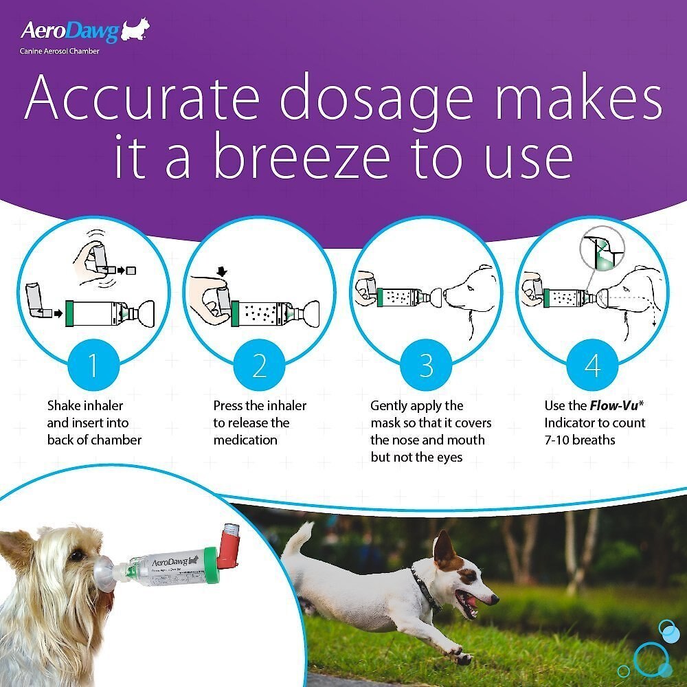 TRUDELL MEDICAL INTERNATIONAL AeroDawg Dog Asthma Aerosol Chamber ...
