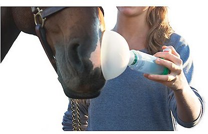 TRUDELL MEDICAL INTERNATIONAL AeroHippus Equine Aerosol Chamber, 1 ...