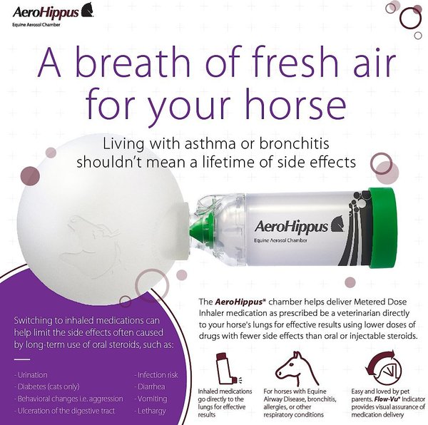 TRUDELL MEDICAL INTERNATIONAL AeroHippus Equine Aerosol Chamber, 1 ...