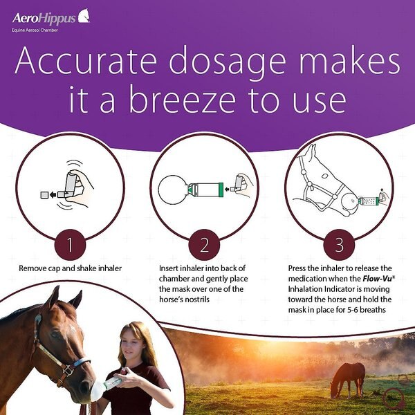 TRUDELL MEDICAL INTERNATIONAL AeroHippus Equine Aerosol Chamber, 1 ...