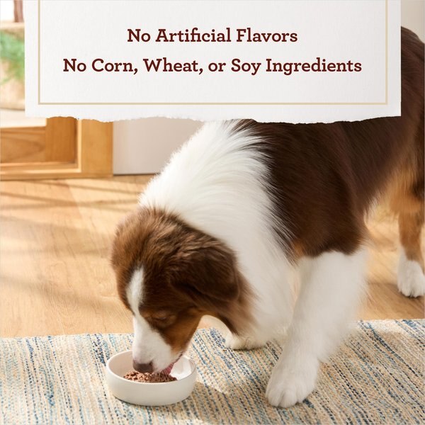 TRUE ACRE FOODS Beef Recipe Tender Loaf in Gravy, Wet Dog Food, 3.5-oz ...