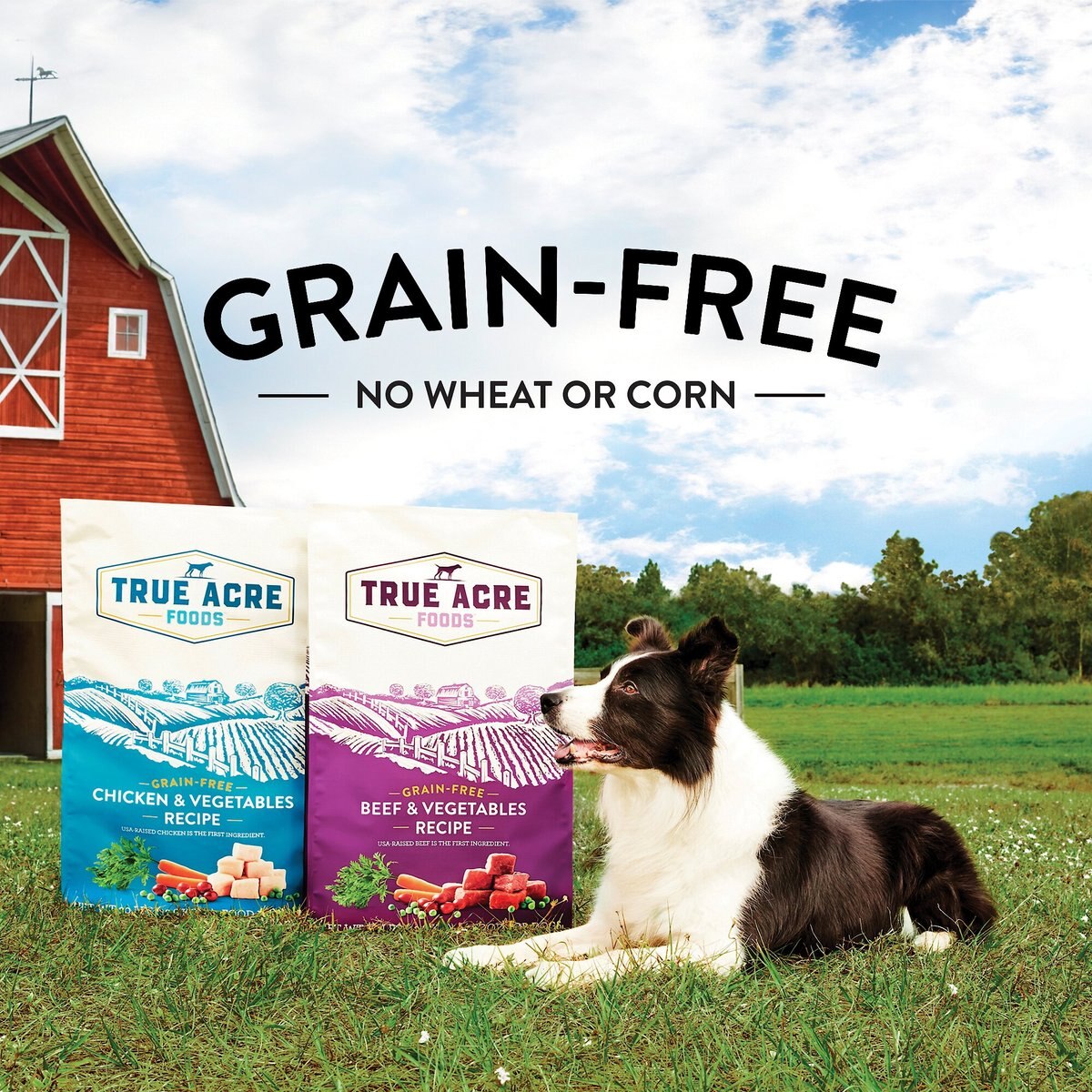 TRUE ACRE FOODS Grain-Free Chicken & Vegetable Dry Dog Food, 40-lb bag ...