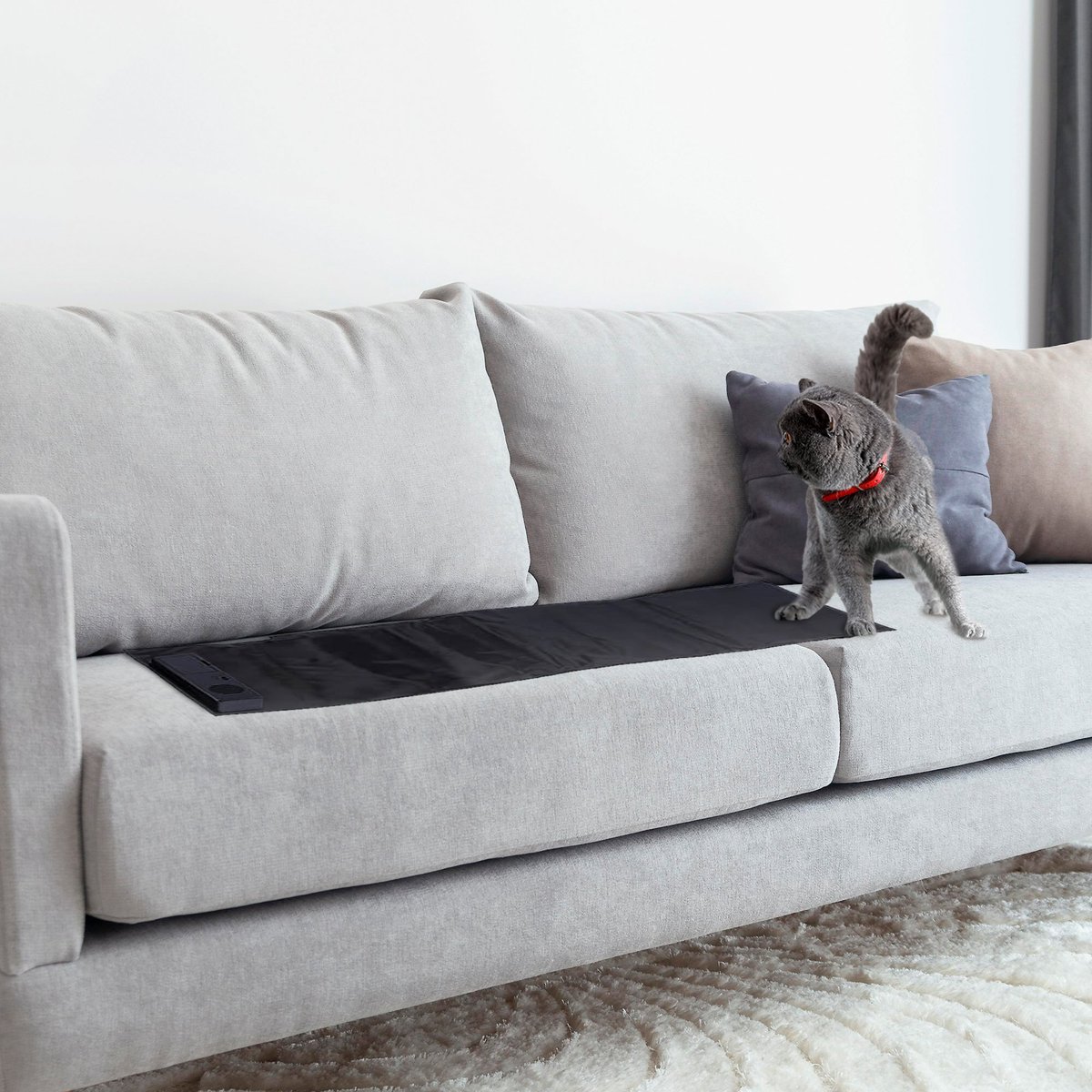 Out of Stock - TRUSTED PETS Sofa Scram Pet Deterrent Scat Mat, Medium ...