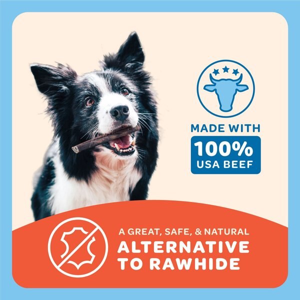 TRUSTY PAWS Beef Collagen Chews Dog Treats, 10-oz bag - Chewy.com