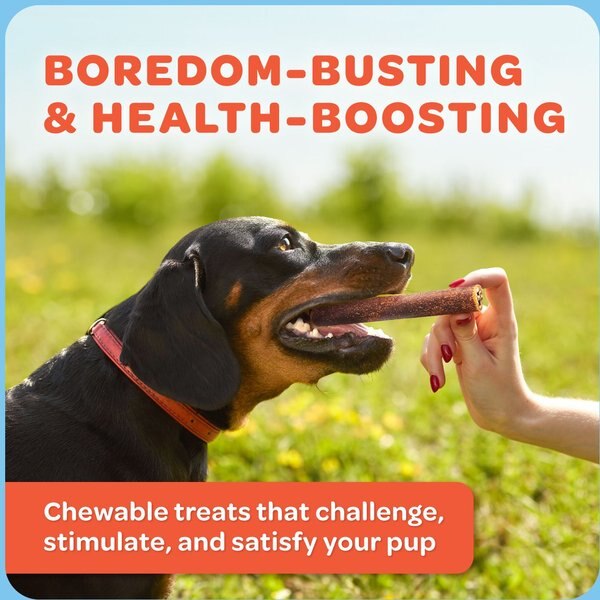 TRUSTY PAWS USA Beef Collagen Chews Thick Jerky Dog Treats, 10 count ...