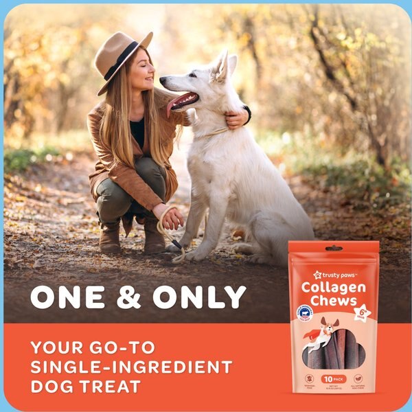 TRUSTY PAWS USA Beef Collagen Chews Thick Jerky Dog Treats, 10 count, 10.6-oz bag - Chewy.com
