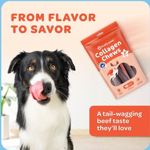 TRUSTY PAWS USA Beef Collagen Chews Thick Jerky Dog Treats, 10 count, 10.6-oz bag - Chewy.com
