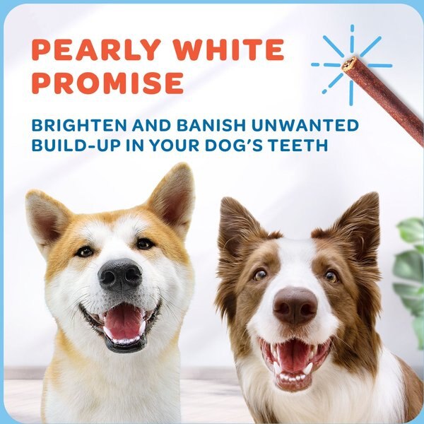 TRUSTY PAWS USA Beef Collagen Chews Thick Jerky Dog Treats, 10 count, 10.6-oz bag - Chewy.com