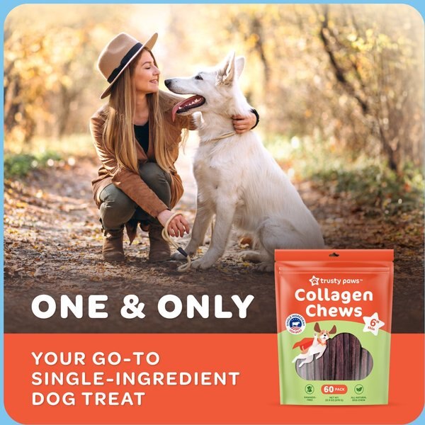 TRUSTY PAWS USA Beef Collagen Chews Thin Jerky Dog Treats, 60 count, 23 ...