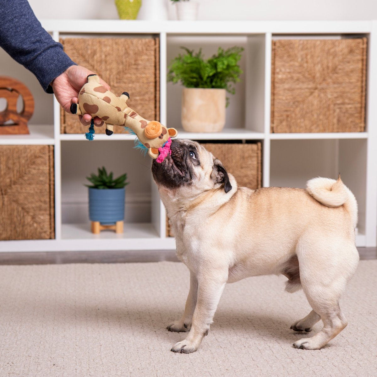 TRUSTYPUP Long Neck Giraffe Tough Squeaky Dog Chew Toy, Small - Chewy.com