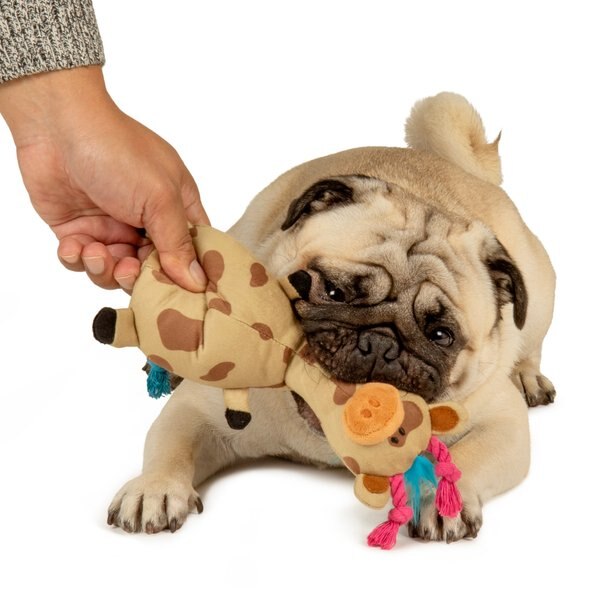 TRUSTYPUP Long Neck Giraffe Tough Squeaky Dog Chew Toy, Small - Chewy.com