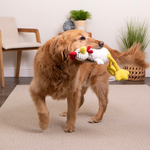 TOUGH CHEWER PLUSH DOG TOYS (Free Shipping) | Chewy