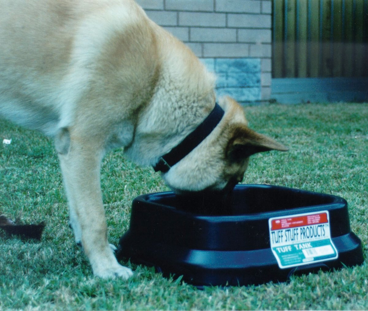 TUFF STUFF PRODUCTS Versapan Square Pan Farm Animal Feeder, 2.5-gal ...