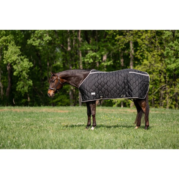 WEAVER EQUINE Cooling Horse Blanket, Turquoise, 72-in - Chewy.com