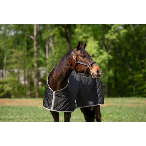WEAVER EQUINE Cooling Horse Blanket, Turquoise, 72-in - Chewy.com
