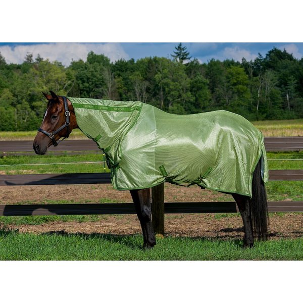 HORZE Freja Combo Flexi Horse Neck Fly Sheet, Light Blue, 72 - Chewy.com